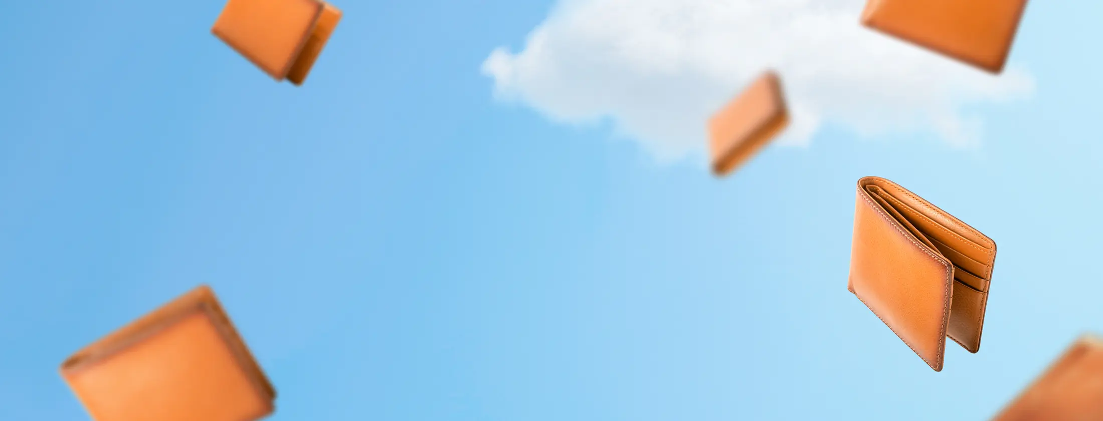 Forget your wallet - Interac